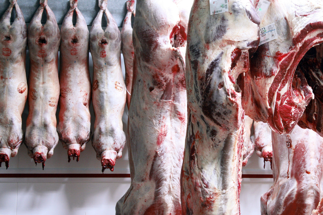 Buy Whole Lamb Online – True Bites Family Butchers